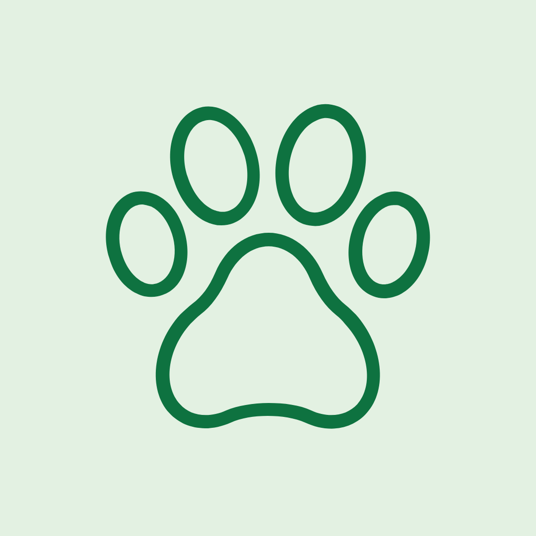 Pipper Standard Singapore | Nautral Pet Care — Bove