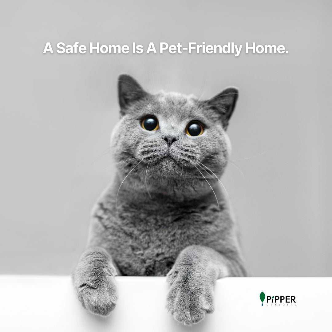 Pipper Standard Pet Care — Bove