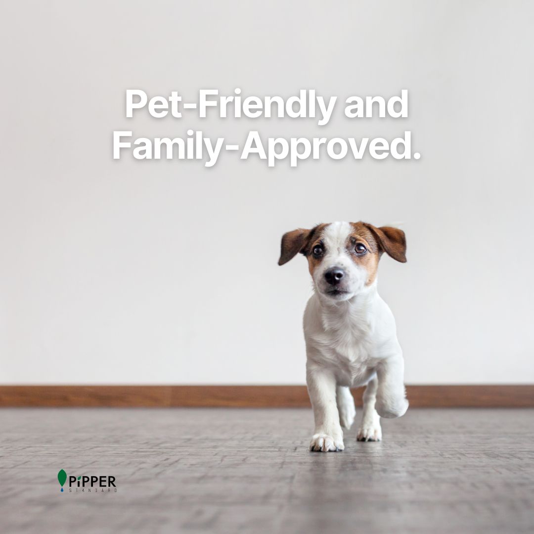 Pipper Standard Pet Care — Bove
